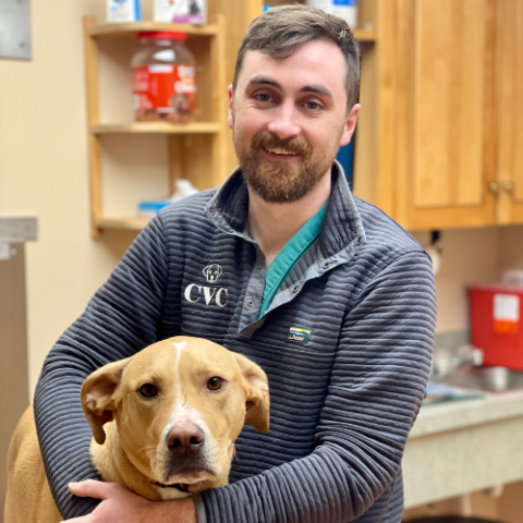 Veterinarian In Oneonta, NY 13820 | Community Veterinary Center