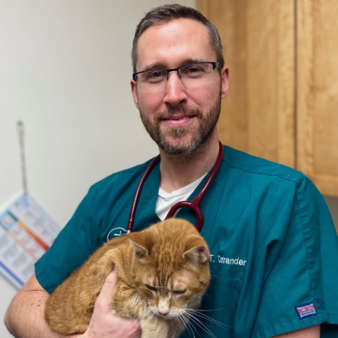 Veterinarian In Oneonta, NY 13820 | Community Veterinary Center